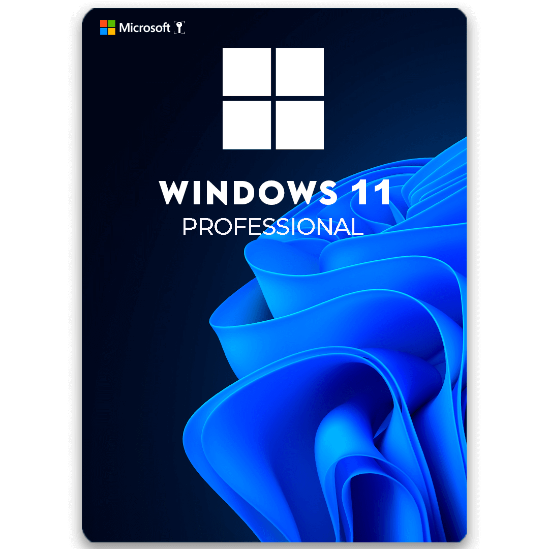 Windows 11 Professional (OEM) – Rafox Software